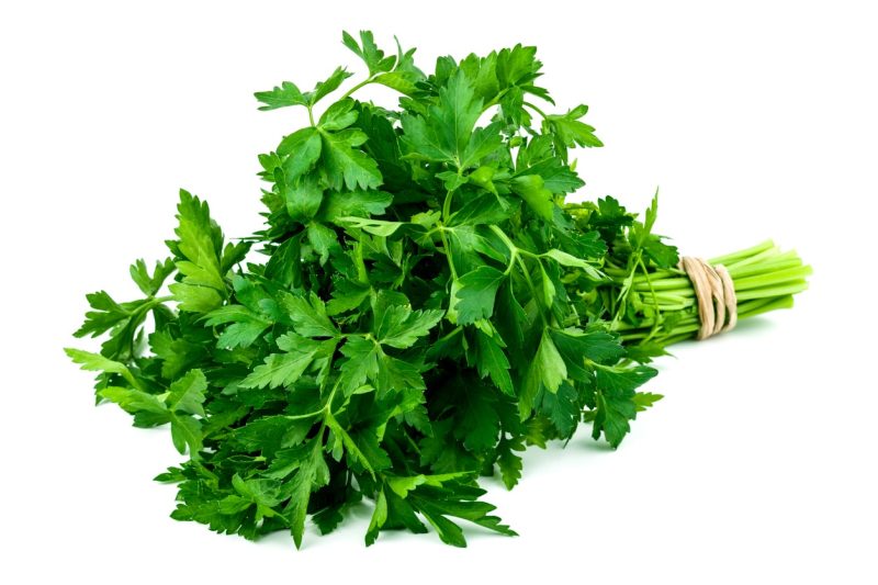 Parsley & It's Use in Kidney Related Disorders | Kidney Coach