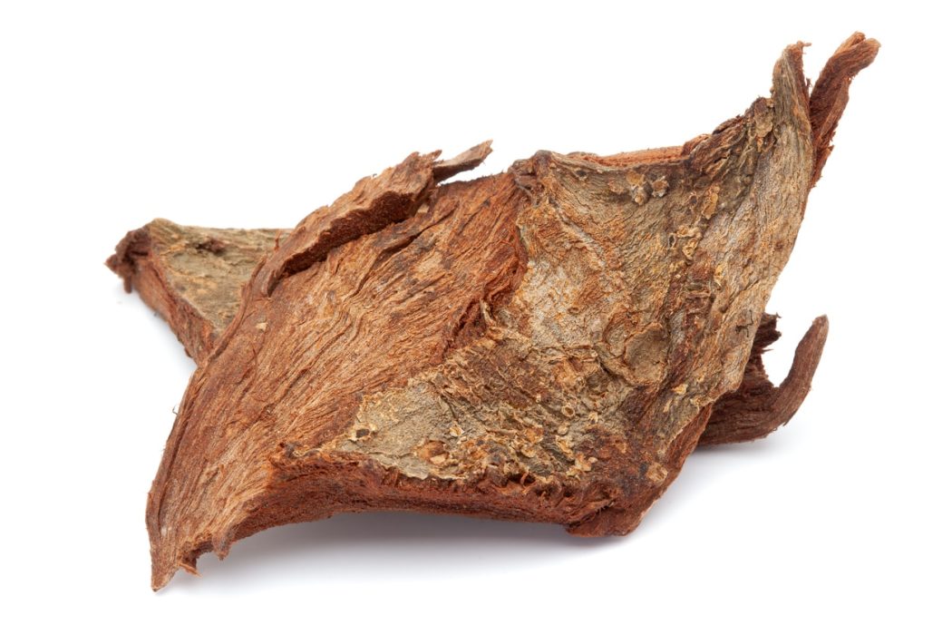 Terminalia Arjuna for Heart & Kidney Health | Kidney Coach