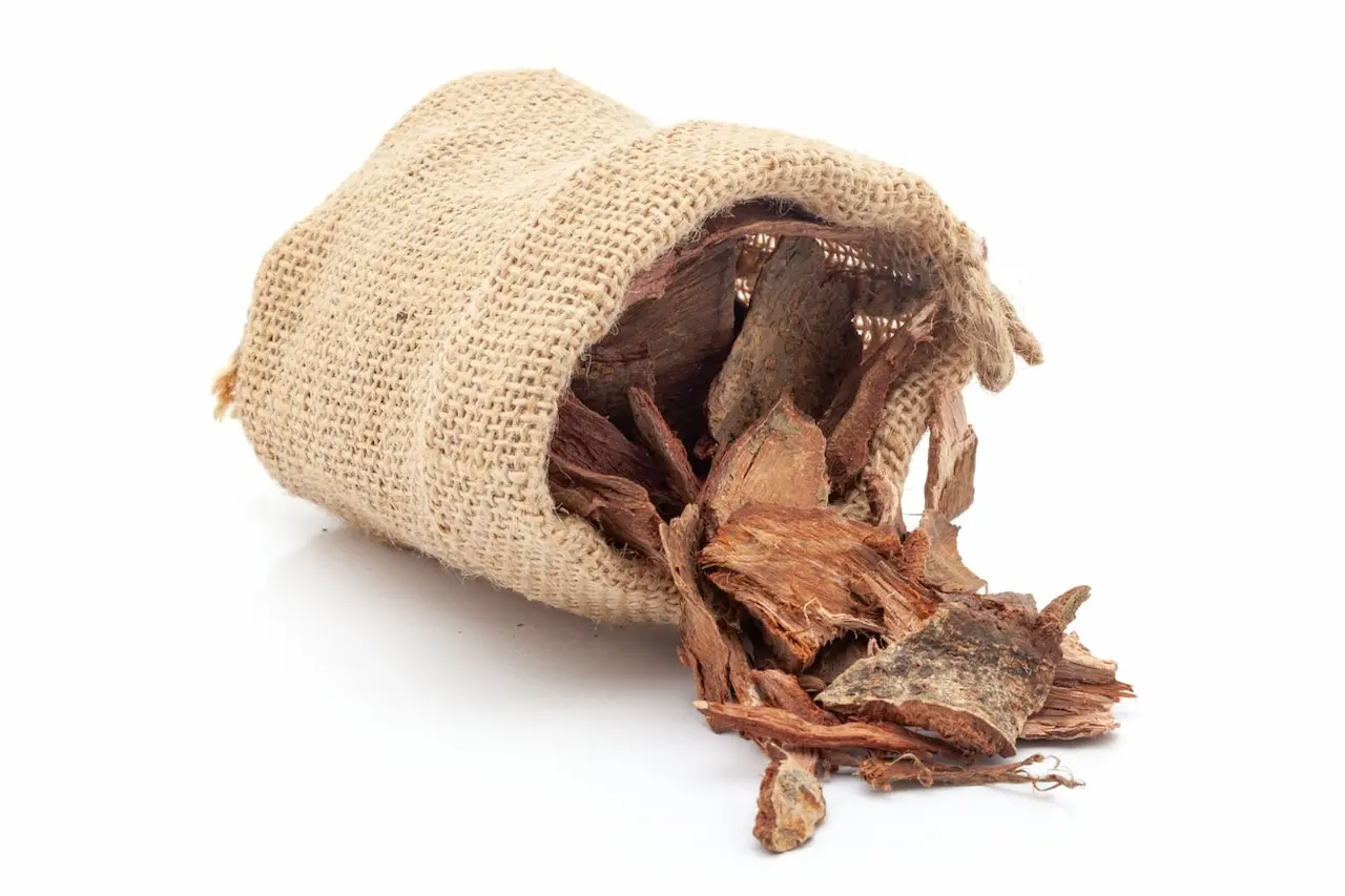 Terminalia Arjuna for Heart & Kidney Health | Kidney Coach