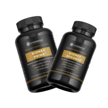 Kidney Support Protocol | KYGENESIS® | Kidney Coach