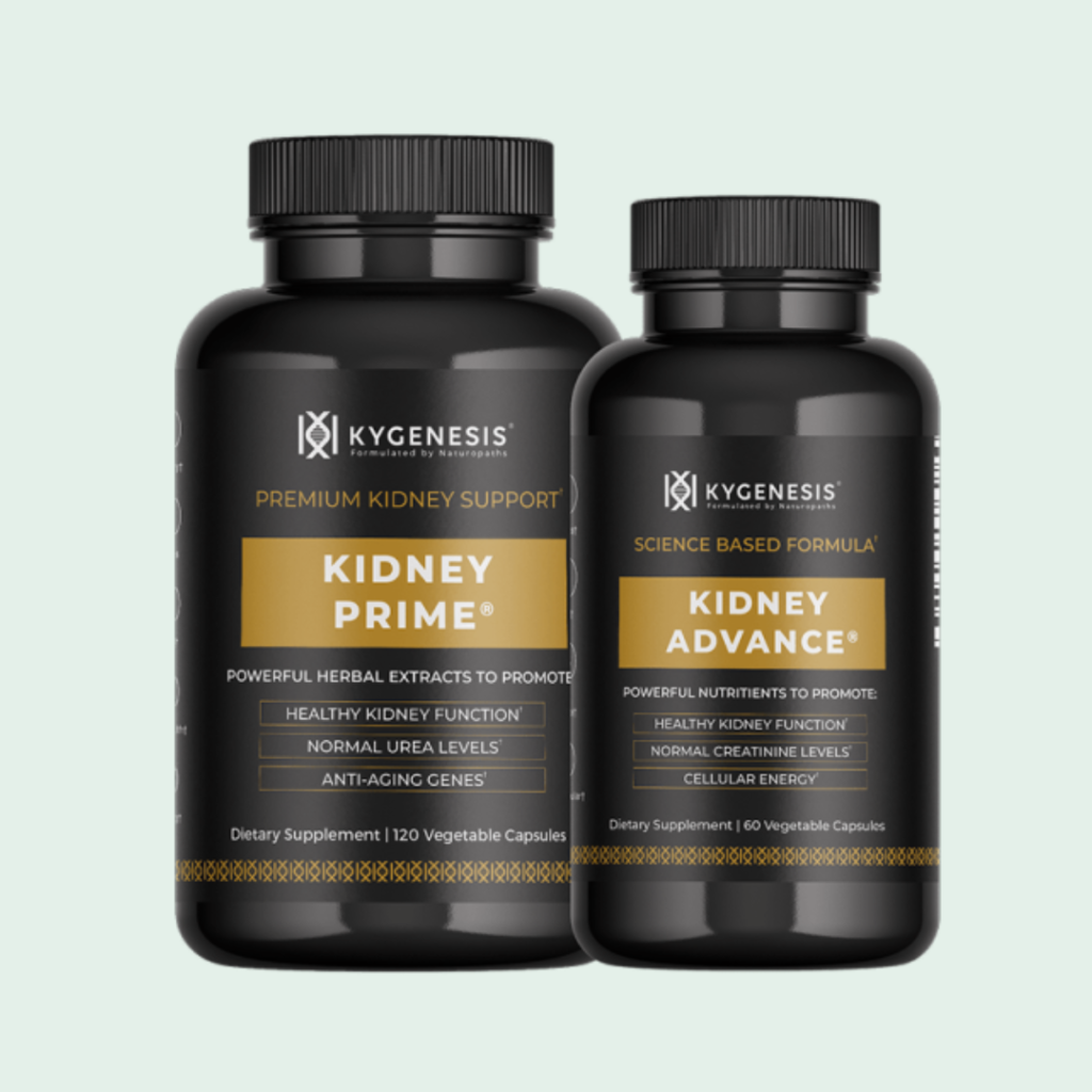 Kidney Support Protocol | Kidney Coach