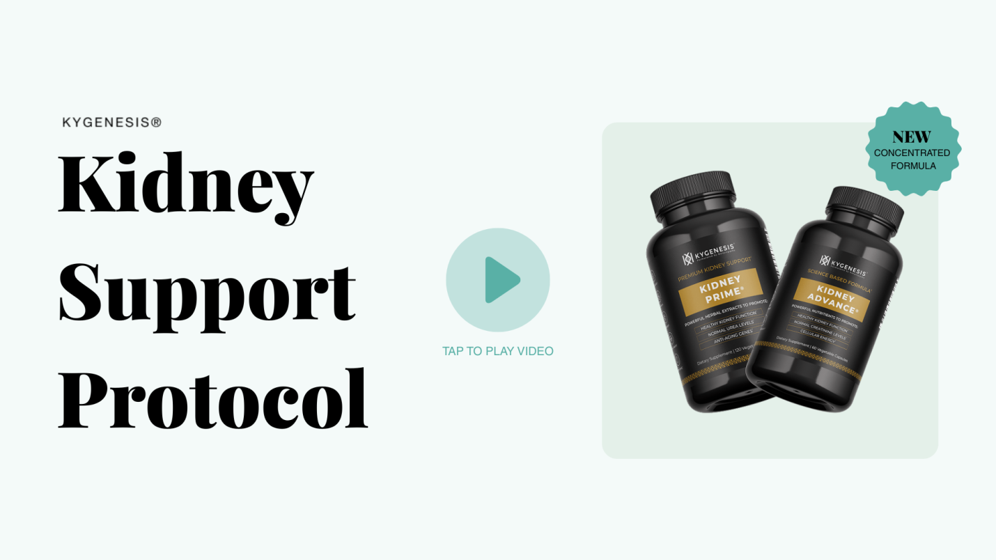 Kidney Support Protocol | Kidney Coach