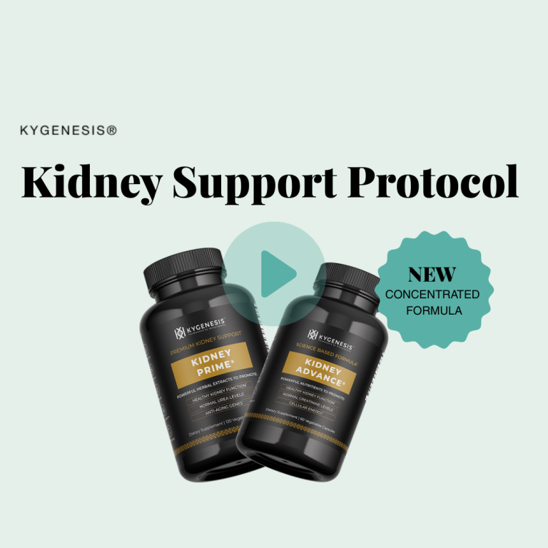 Kidney Support Protocol | Kidney Coach